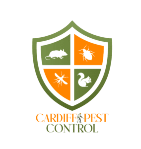 Top 10 Places Rats Hide Inside Your House